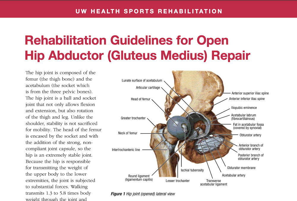 Hip Preservation Resources Department Of Orthopedics And Rehabilitation